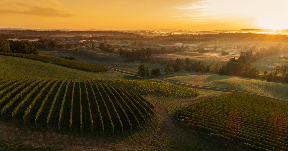 Make Virginia Wine A Part of Your 2021 - Virginia Wine Blog