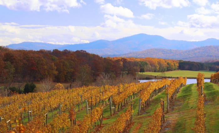 A Guide to Virginia Wine Month - Virginia Wine Blog