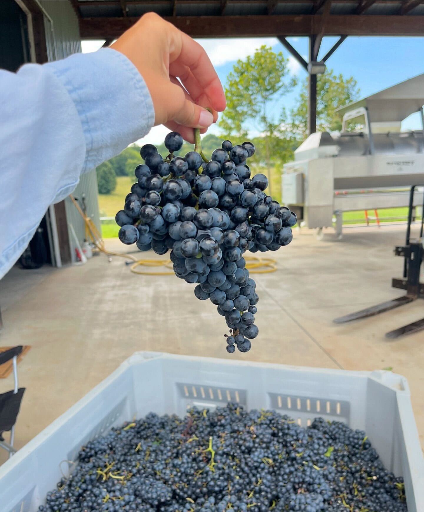 A Toast to October in Virginia - Virginia Wine Blog